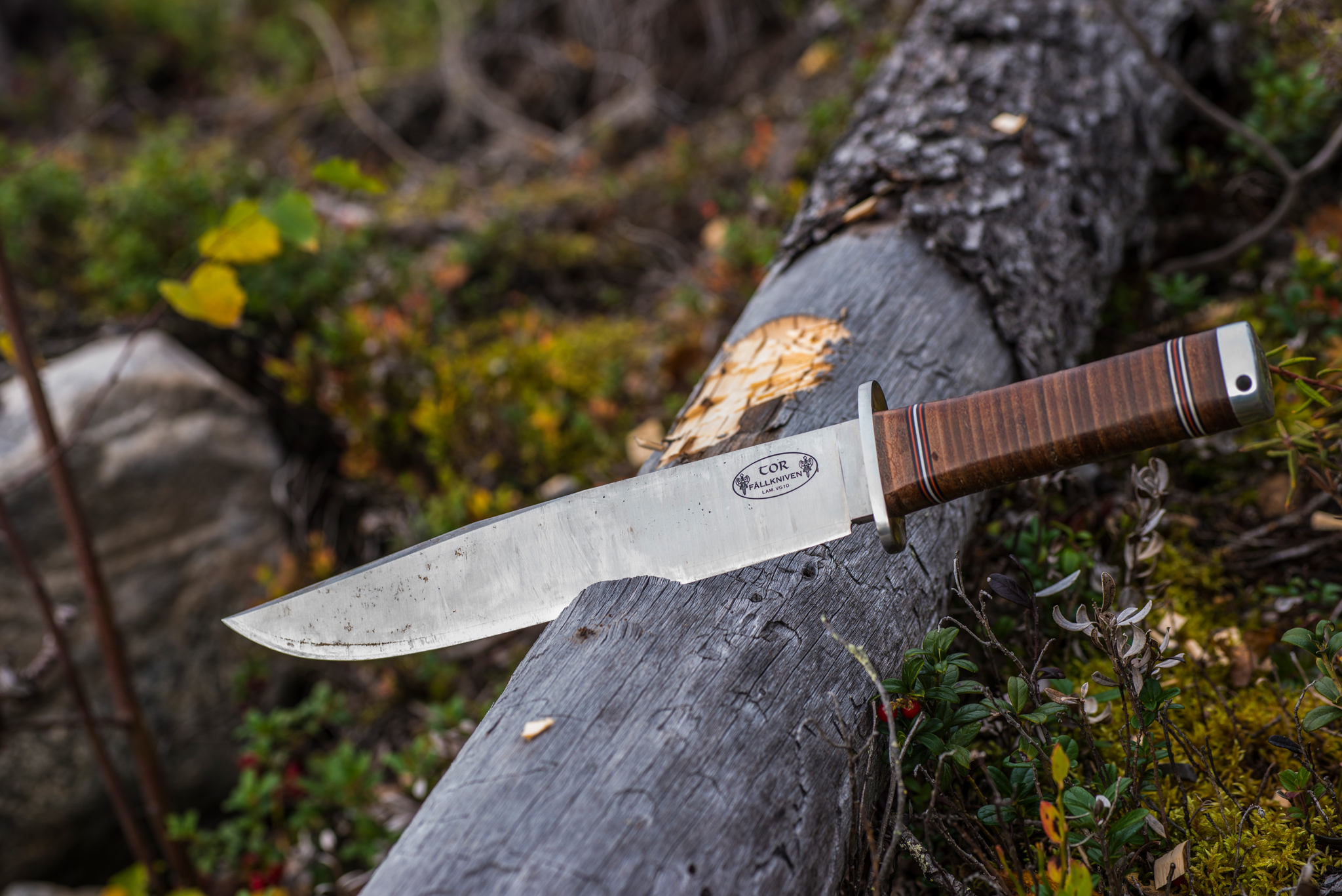 NL1L Thor (Lam. VG7 steel) » Survival knives - Fällkniven